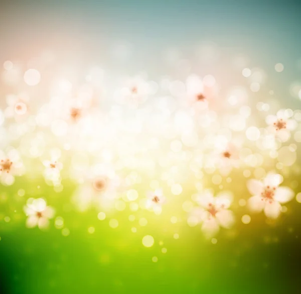 Spring background - Stock Image - Everypixel