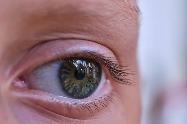 Eye side Images - Search Images on Everypixel