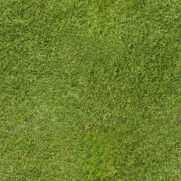 Cut grass Stock Photos, Royalty Free Cut grass Images | Depositphotos