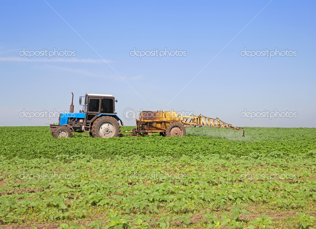 Soybean spraying Stock Photo by ©dragunov 45812025