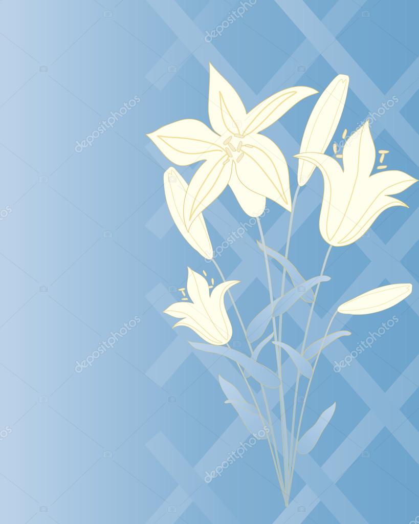 Lilly background Stock Vector Image by ©sandesh1264 #22324197