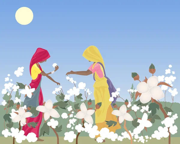 25,870,521 Cotton farming Vector Images | Depositphotos