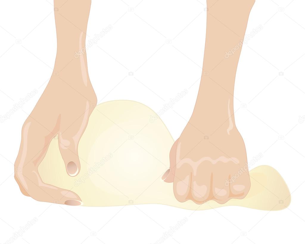 Knead Clipart