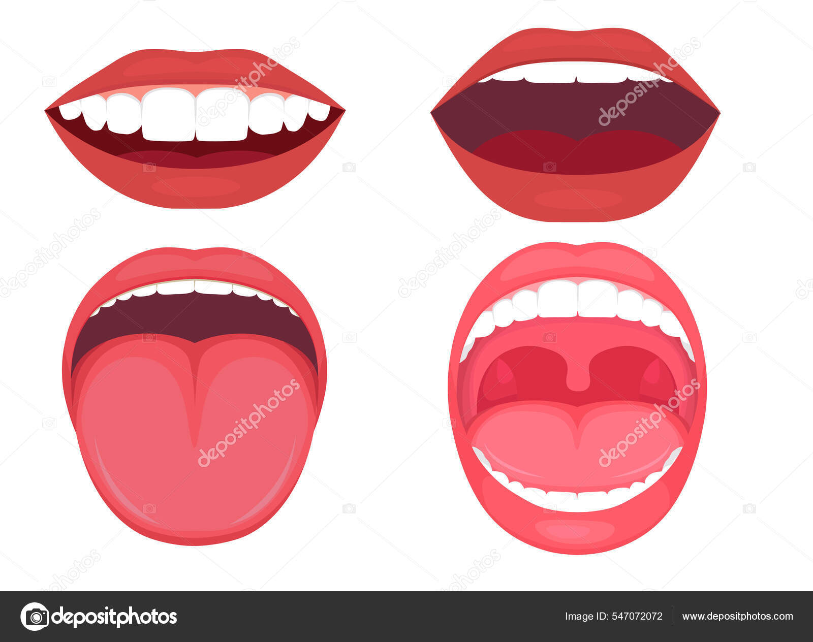 Diagrama De Anatomía Del Labio