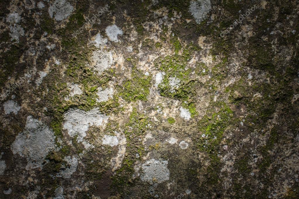 Stone and moss texture — Stock Photo © malekas #40373297