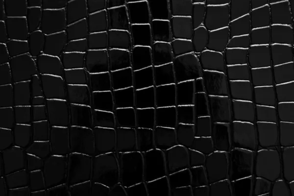 11,775 Black snake texture Stock Photos, Images | Download Black snake ...