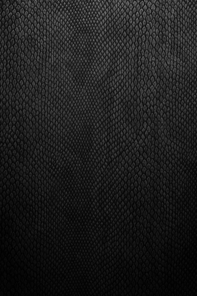 11,775 Black snake texture Stock Photos, Images | Download Black snake ...