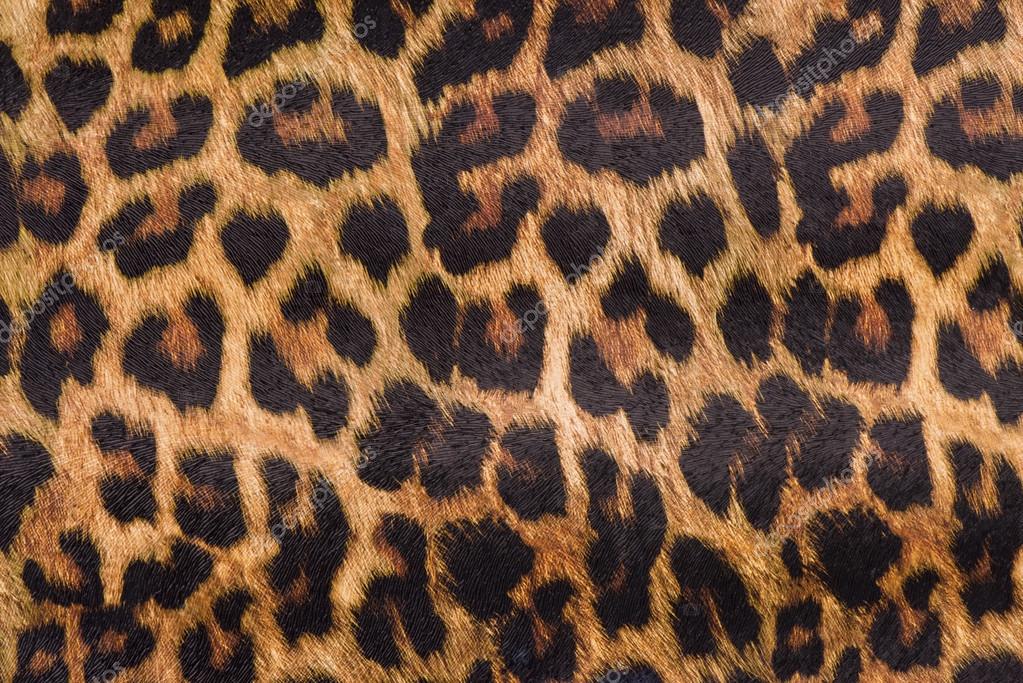 Leopard skin Stock Photo by ©mikeaubry 45243021