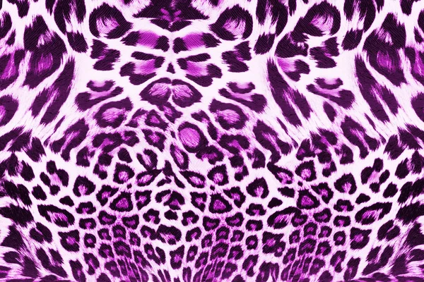 Leopard skin - Stock Image - Everypixel
