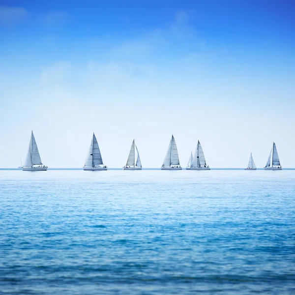 Sailing regatta Stock Photos, Royalty Free Sailing regatta Images ...