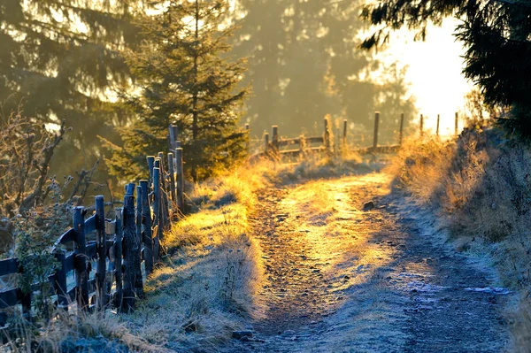 Mountain path Stock Photos, Royalty Free Mountain path Images ...