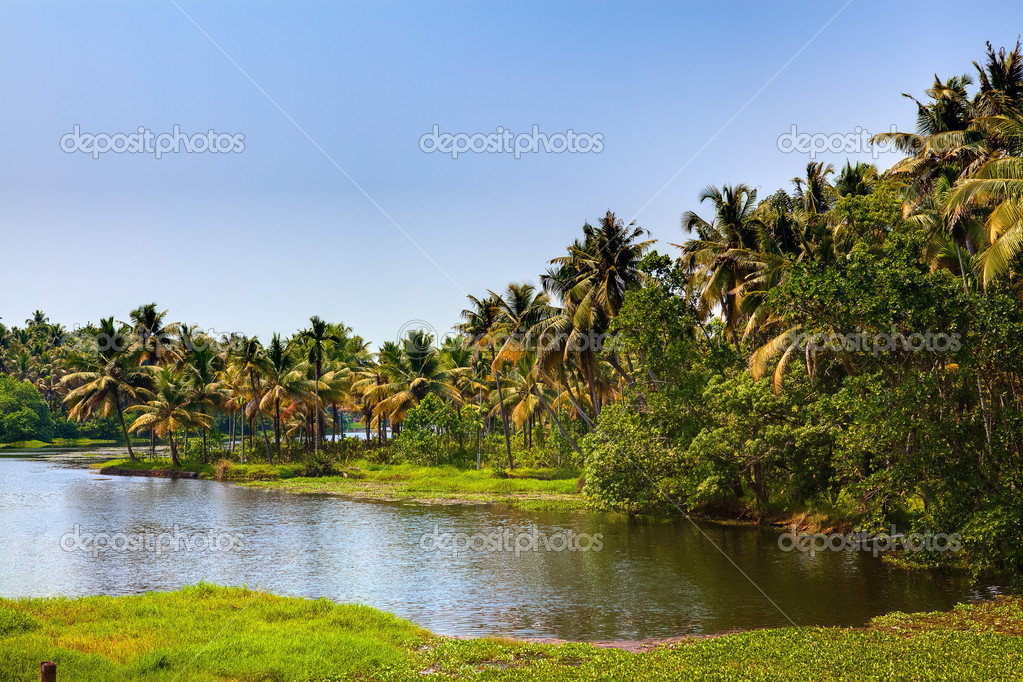 Backwaters of cochin Stock Photo by ©STYLEPICS 12682349