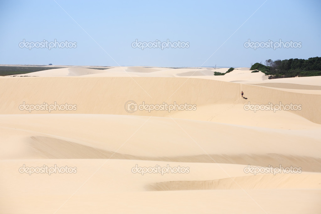 Cabure Stock Photo by ©STYLEPICS 12682429