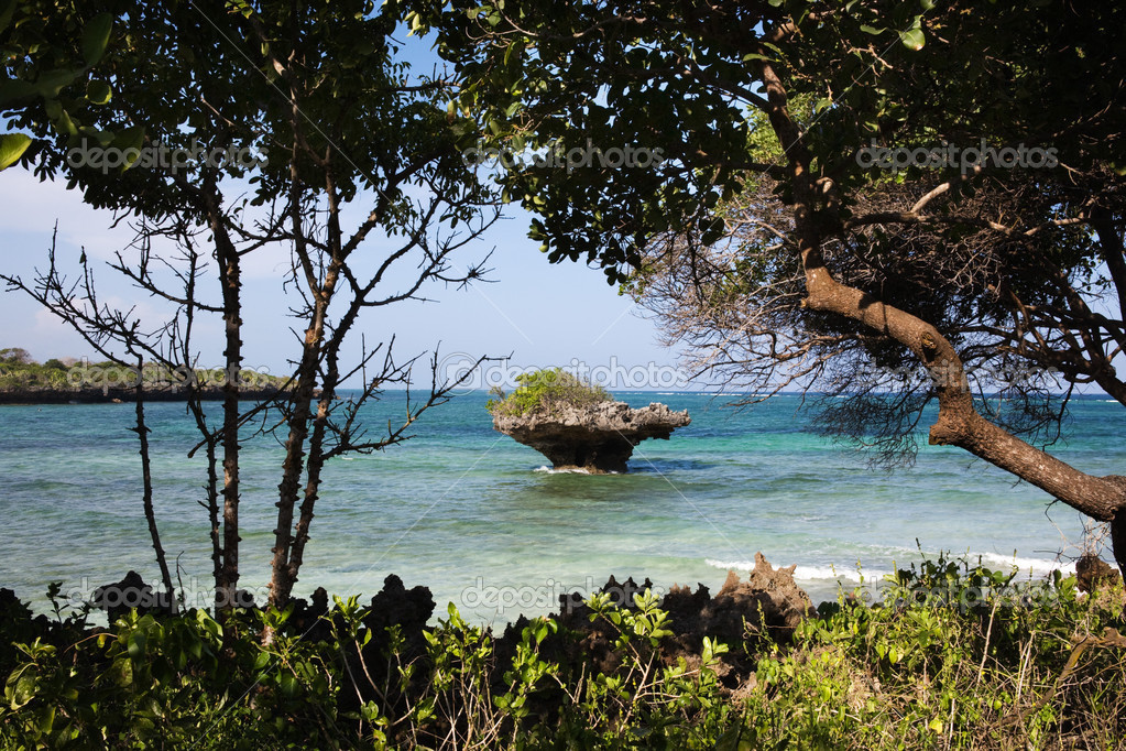 Coral reef rock — Stock Photo © STYLEPICS #12682489
