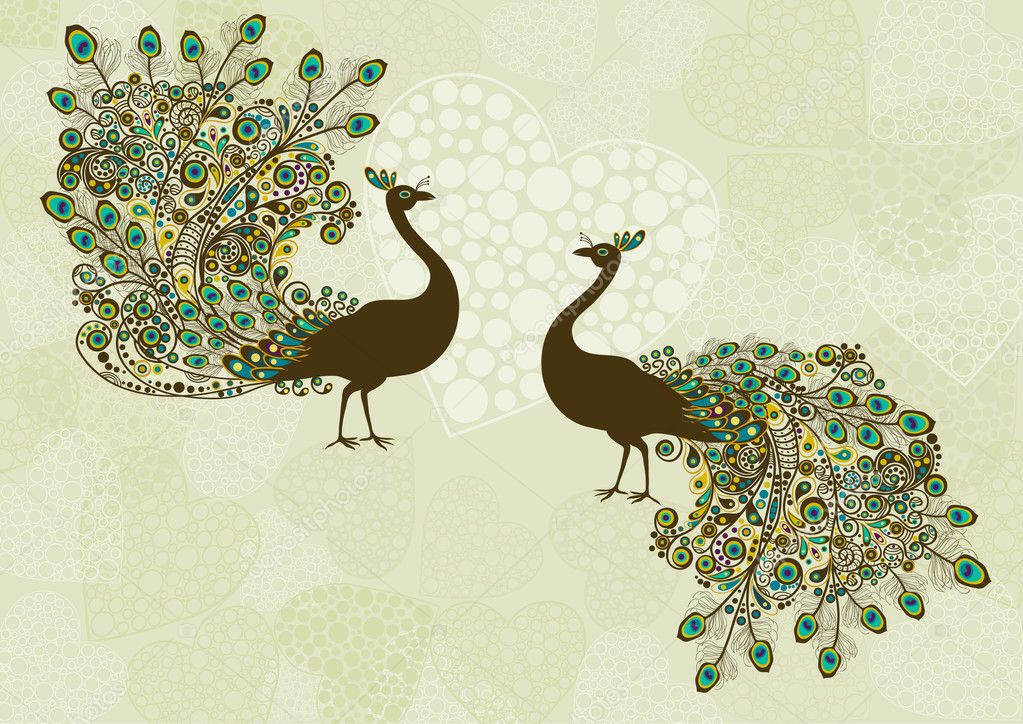 Peacock — Stock Vector © Rodicabruma 18888591