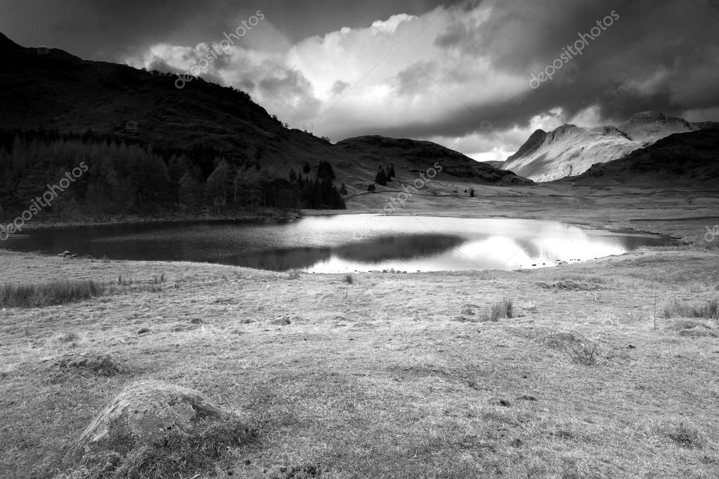 Side Pike — Stock Photo © drewrawcliffe #21692799