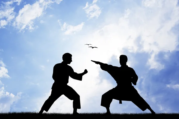 Karate background Stock Photos, Royalty Free Karate background Images ...