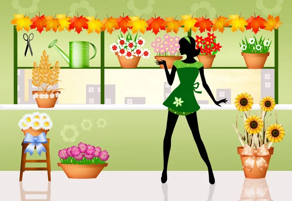 20,453,926 Escaparate flores Stock Illustrations | Depositphotos