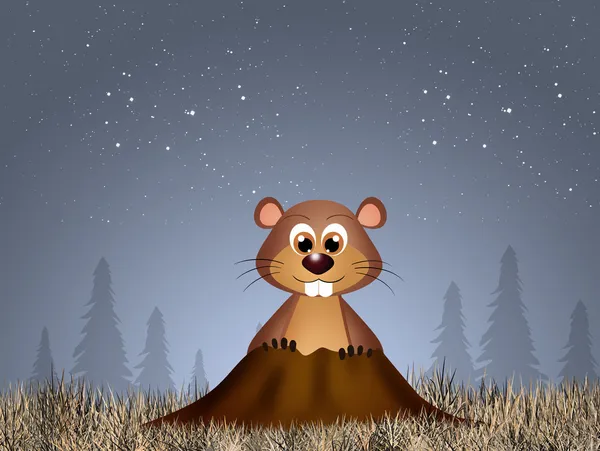 Den cartoon Stock Photos, Royalty Free Den cartoon Images | Depositphotos