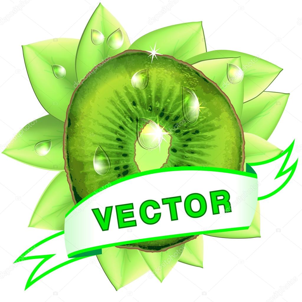 Vector image, kiwi with leaves, drops and ribbon on white backg Stock ...
