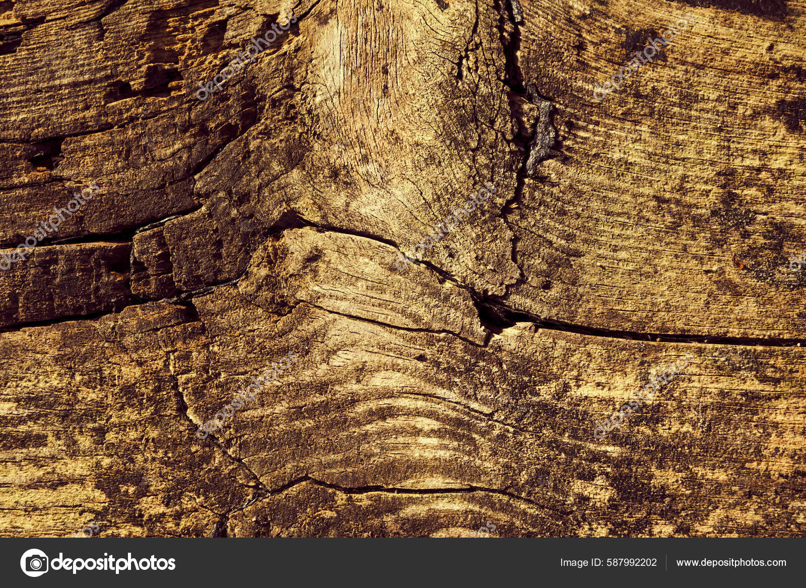 Vintage Wood Table Texture