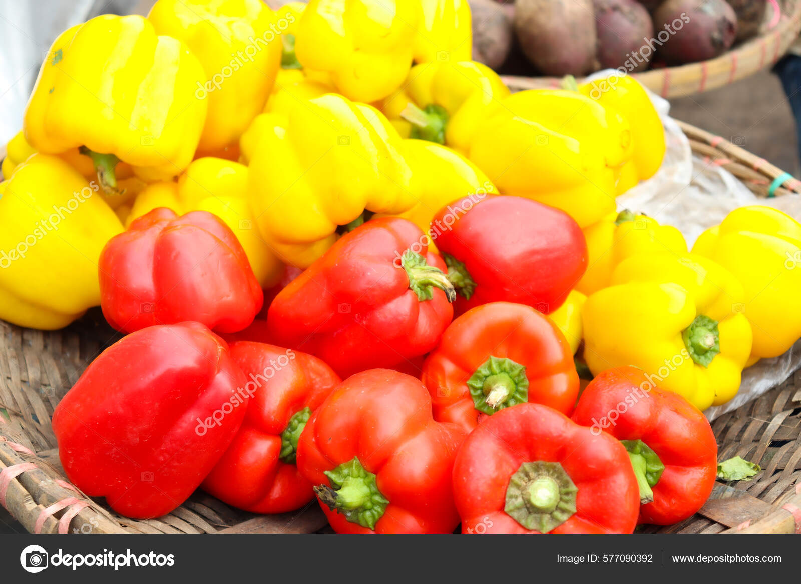Multiple Colored Capsicum Stock Shop Sell Stock Photo by ©jahidul2358 ...