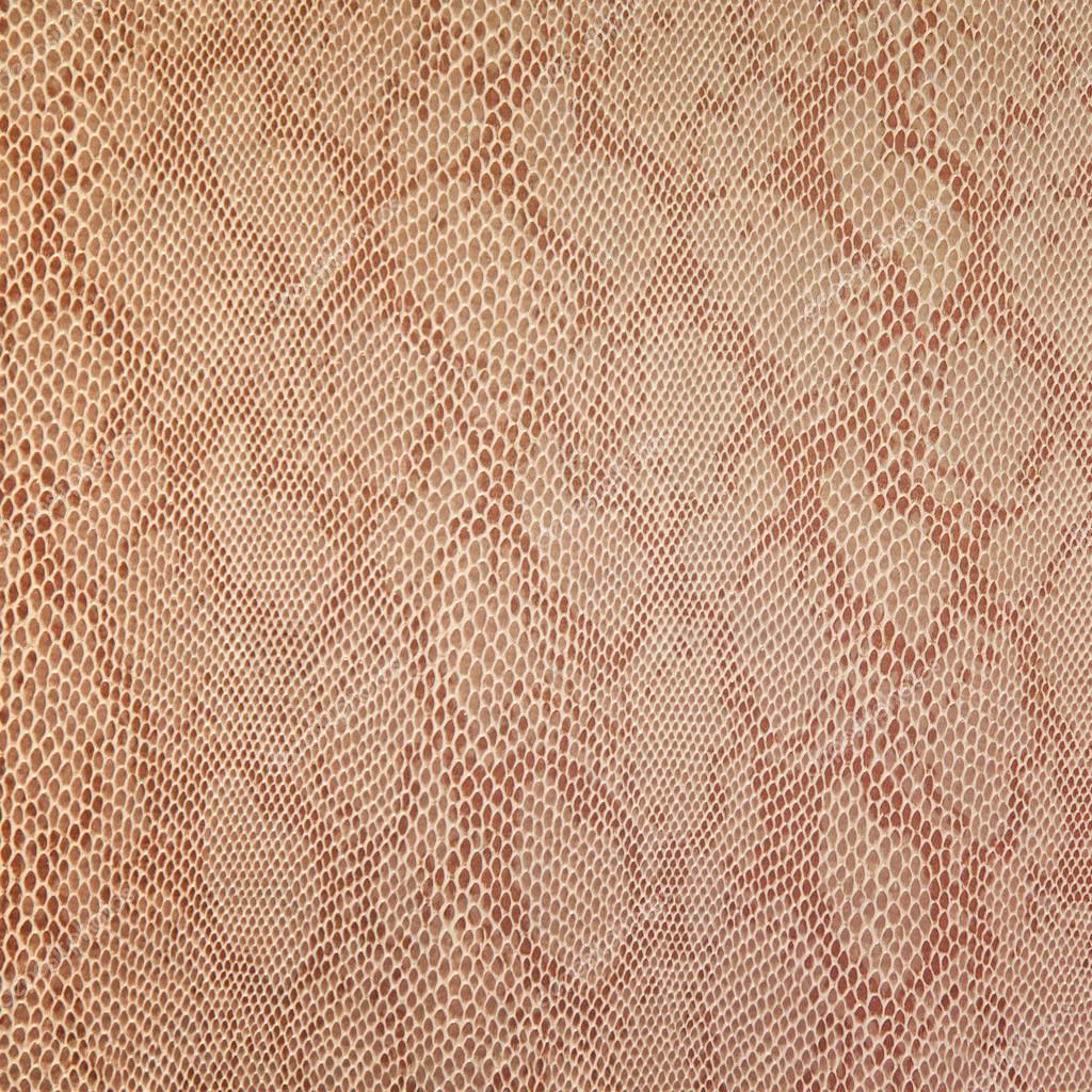 Snake skin texture — Stock Photo © Arcady #42313647