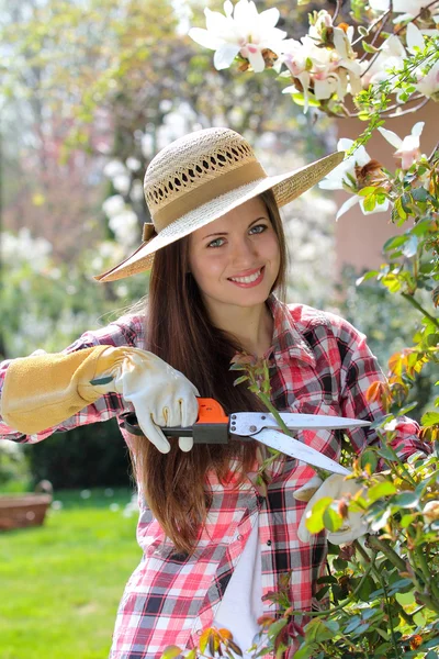 Pruning hook Stock Photos, Royalty Free Pruning hook Images | Depositphotos