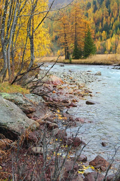 Smoky Mountain Stream in Autumn — Stock Photo © judykennamer #5270152