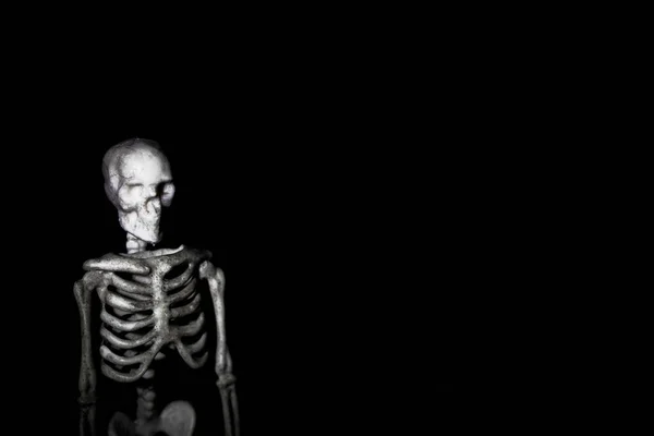 Scary Skeleton Wallpaper