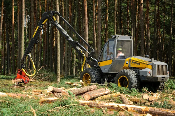 Felling of the forest — Stock Photo © przemeksuwalki #22900262