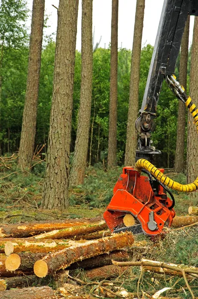 Forestry mulcher Stock Photos, Royalty Free Forestry mulcher Images ...