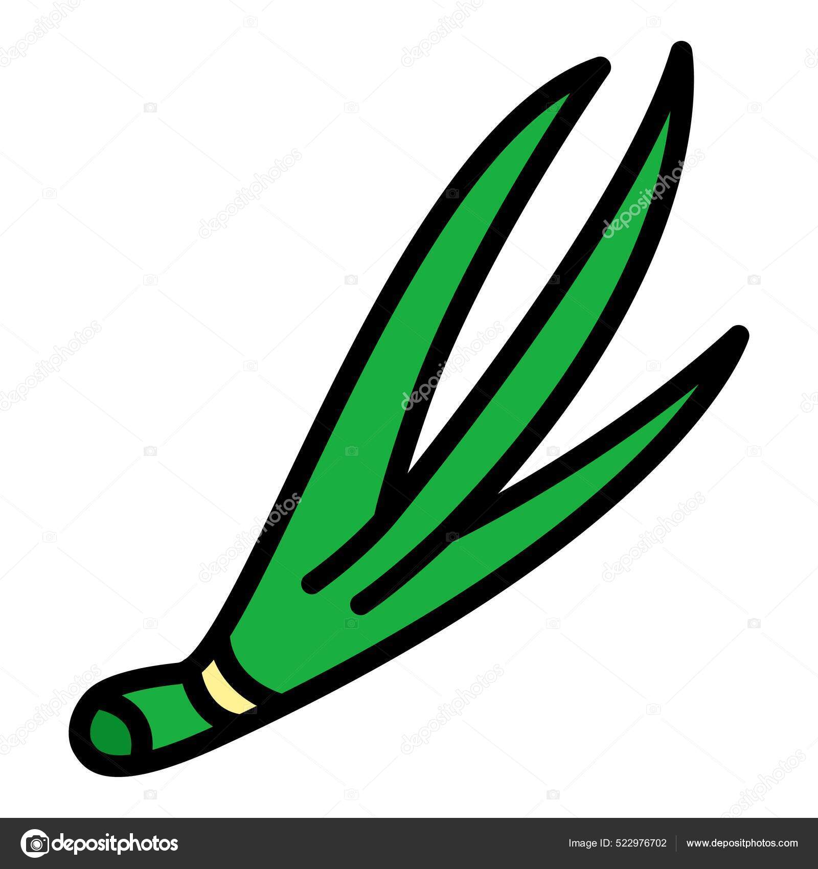 Vegetable chives icon color outline vector Stock Vector Image by ...