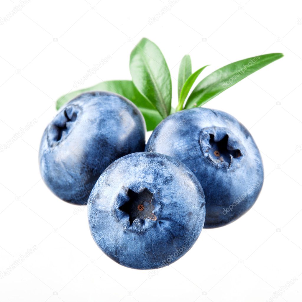 Blueberries Stock Photo by ©utima 40202403