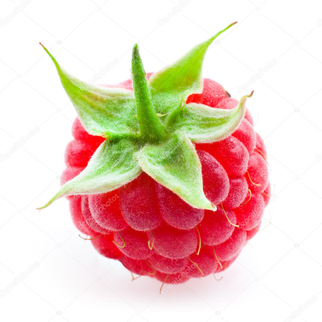 Framboise. seul fruit isolé sur blanc — Photographie utima © #42060683