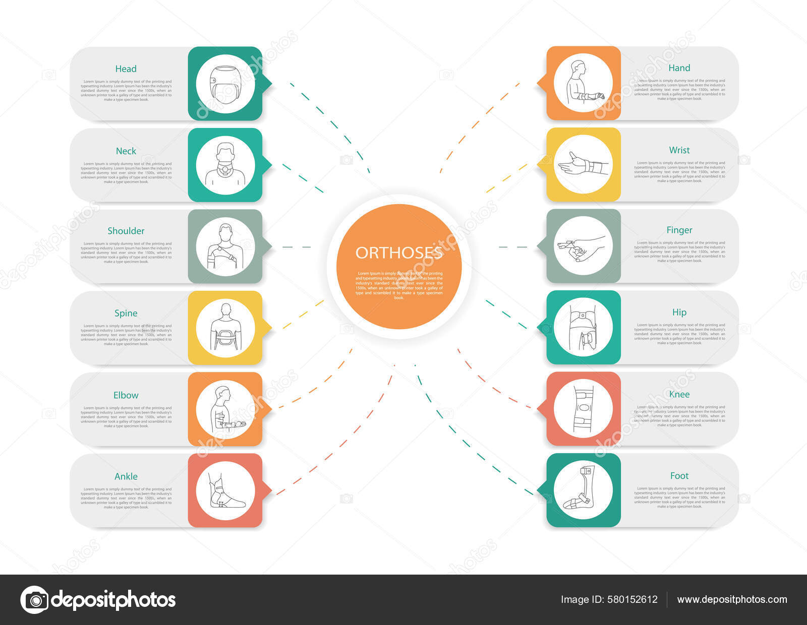 Infographic Orthoses Linear Icons Vector Stock Vector Image by ©Grand ...