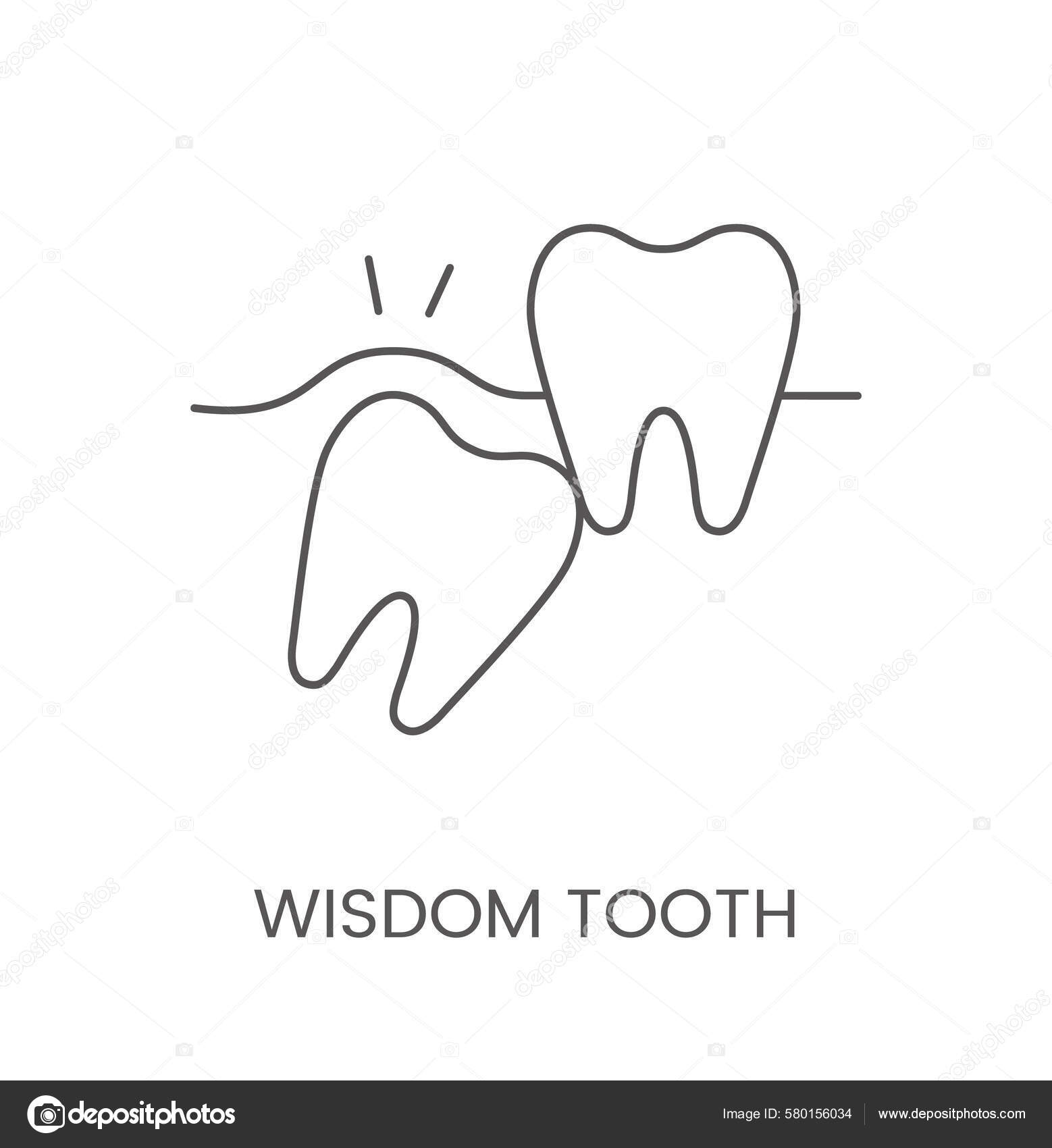 Linear Icon Wisdom Tooth Vector Illustration Dental Clinic Stock Vector ...