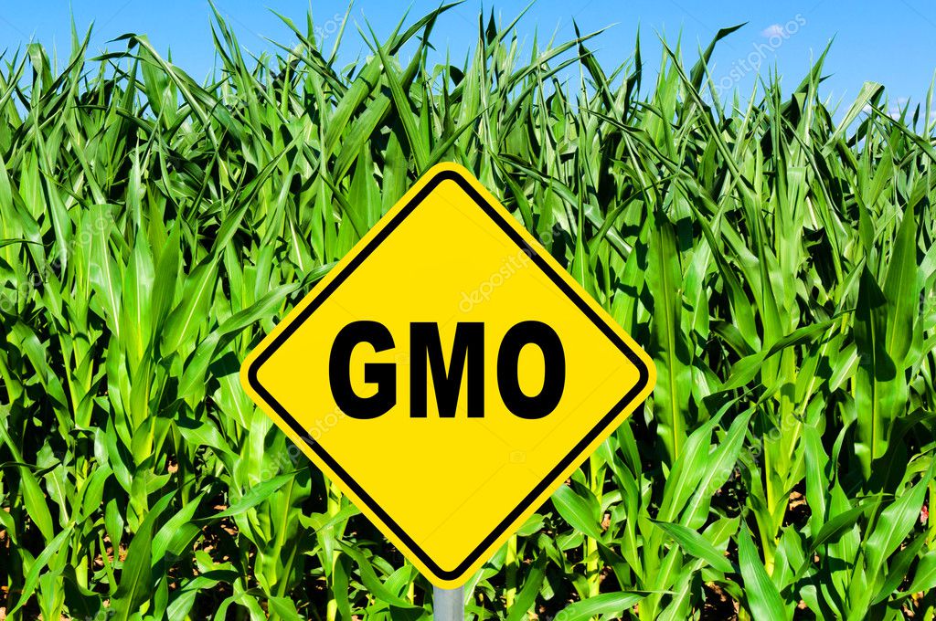 GMO sign Stock Photo by ©uroszunic 38066143