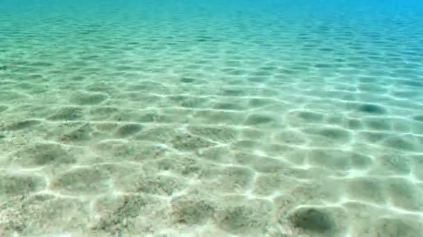 Summer beach sea bed HD — Stock Video © realcg #26391185