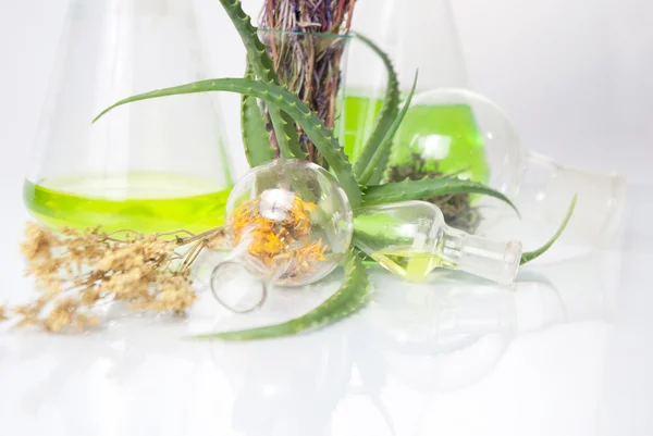 Extract of plants. Natural chemistry. - Stock Image - Everypixel