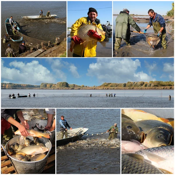 Imágenes de Buque pesquero, fotos de Buque pesquero sin royalties ...