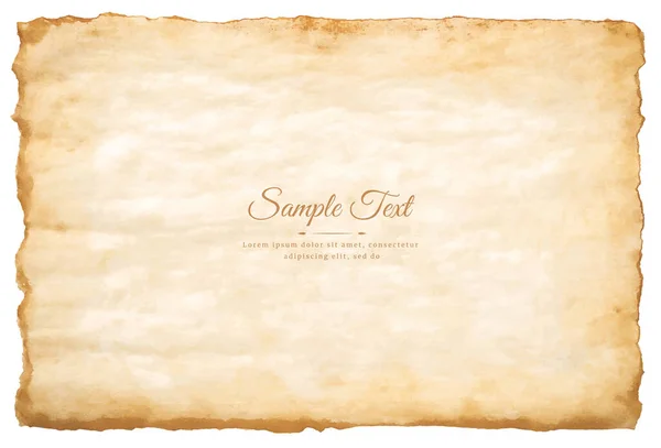 Vector Old Parchment Paper Sheet Vintage Aged Texture Isolated White ...