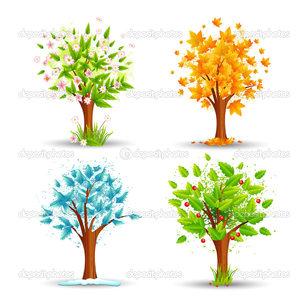 Season Tree Stock Vector by ©stockshoppe 25377833