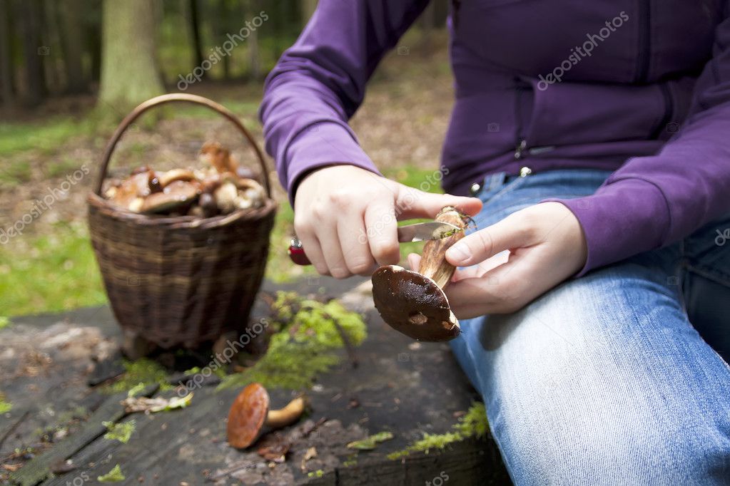 Las mujeres de limpieza de setas despu s de recoger, Mushrooming 2024