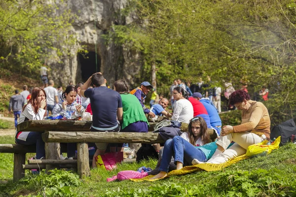 People picnicking - Stock Image - Everypixel