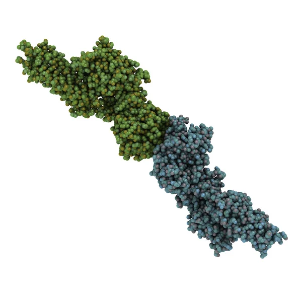 Dimer Stock Photos, Royalty Free Dimer Images | Depositphotos®