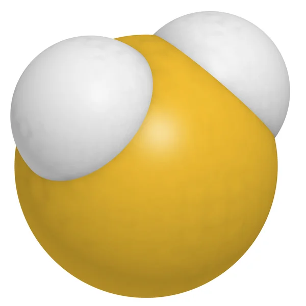 Stock Photos, Royalty Free Photography, High Resolution Pictures Search ...