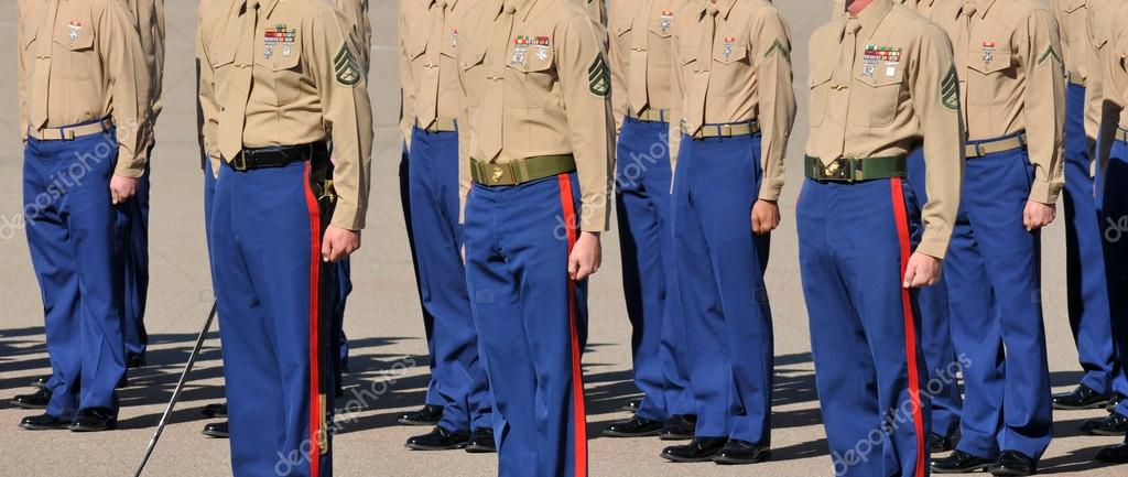 Marine Standing At Attention