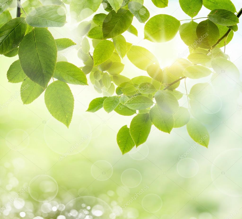 Spring background Stock Photo by ©Krivosheevv 12728181