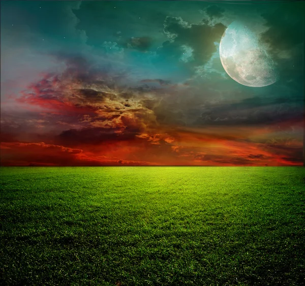 Red moon forest Stock Photos, Royalty Free Red moon forest Images ...